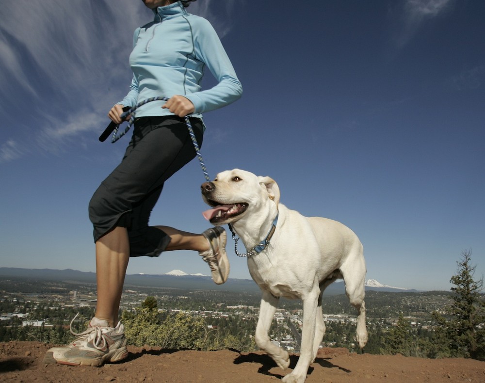 Tips for Exercising With Your Dog