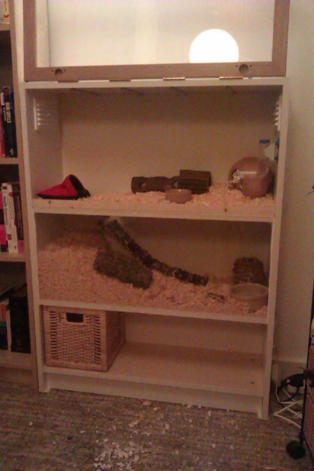 12 DIY Hamster Cage Projects to Completely Transform Your Pet’s Home